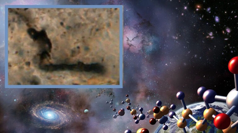 Fossils of Ancient Microorganisms Indicate Life in the Universe Is ...