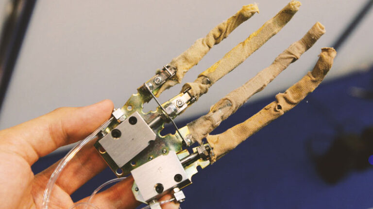 Japanese test robot with real muscles • CuriouStuff