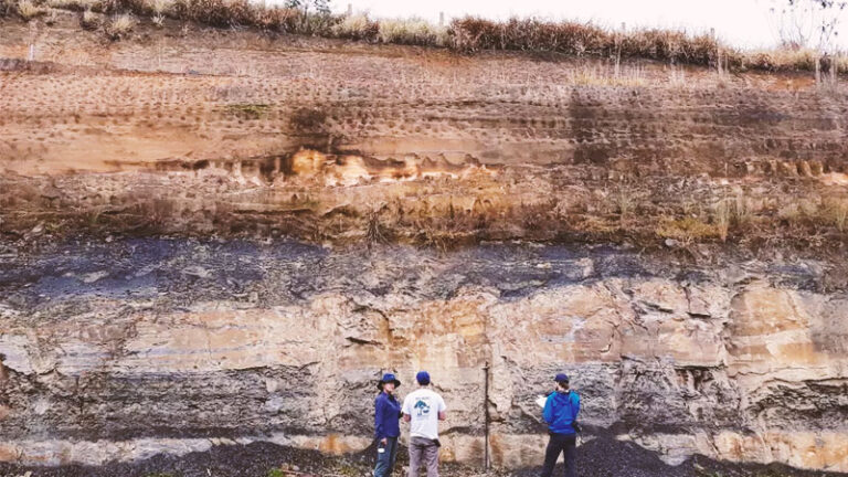 290 million-year-old fossilized forest discovered in southern Brazil ...